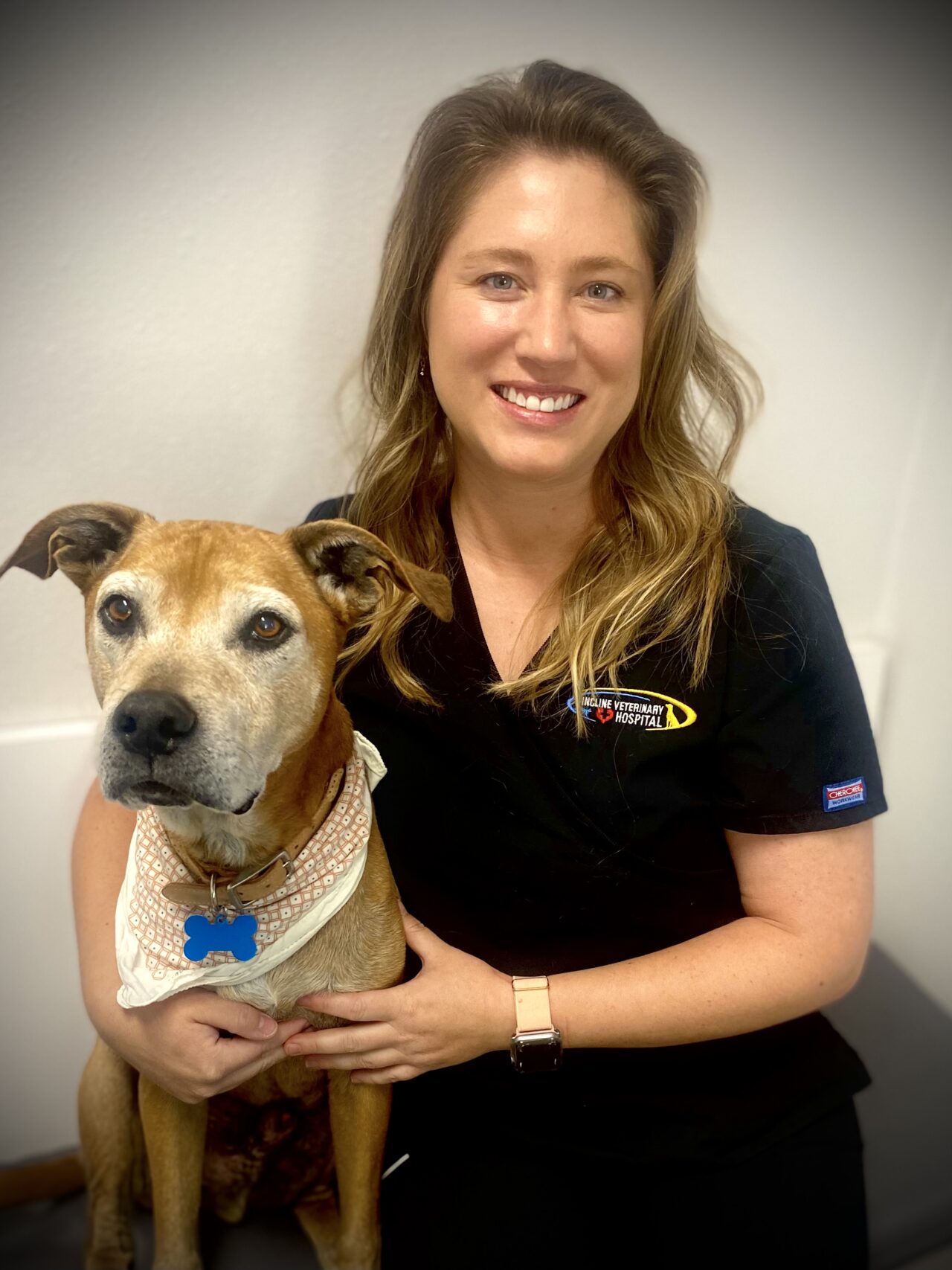 Veterinarian In Incline Village, NV | Incline Veterinary Hospital